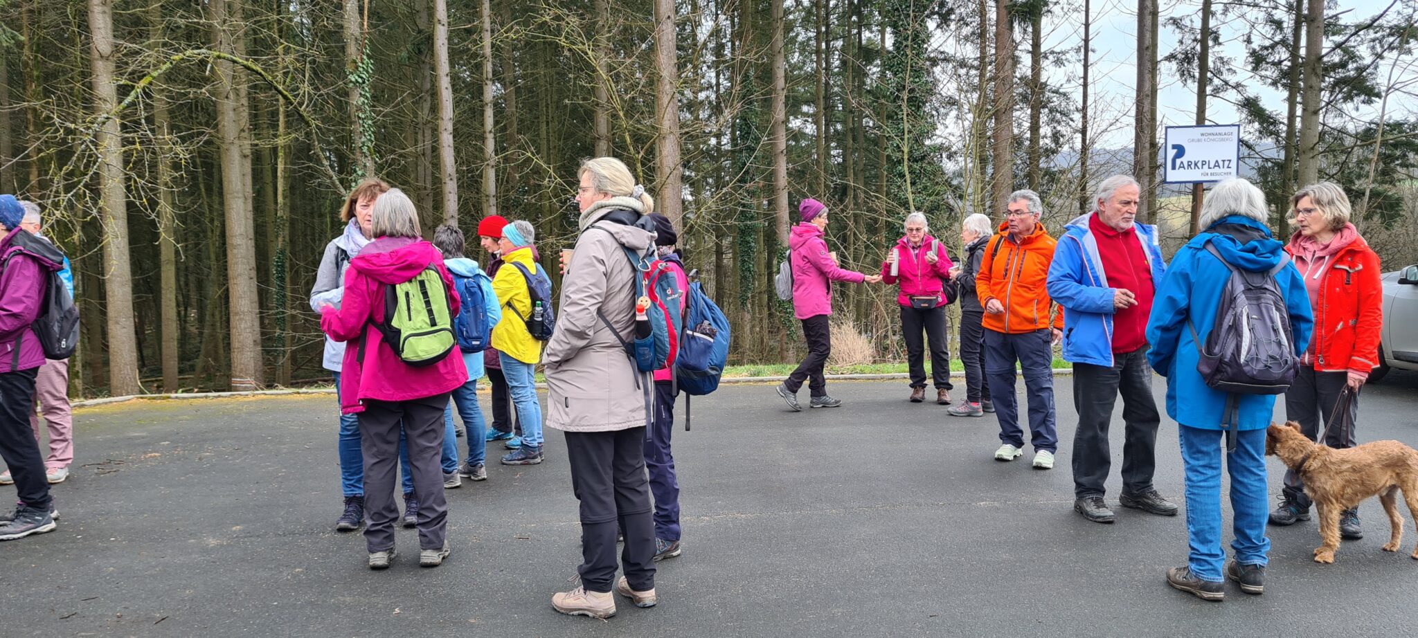 Winterwanderung: Warum denn in die Ferne schweifen? | Dünsberg-Verein e. V.